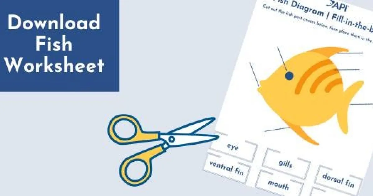 Fish Learning Fridays | Fish Fill-in-the-blank... | API Fishcare